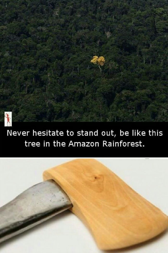 Just because you are unique does not mean you are useful. - 9GAG