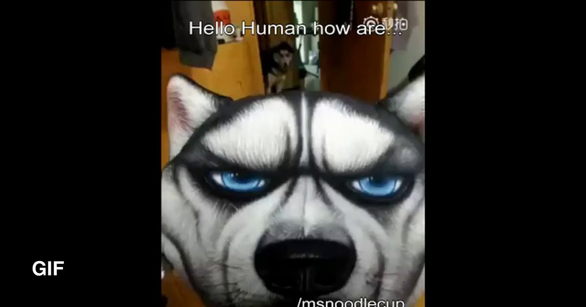 Confused Moon Moon - 9GAG