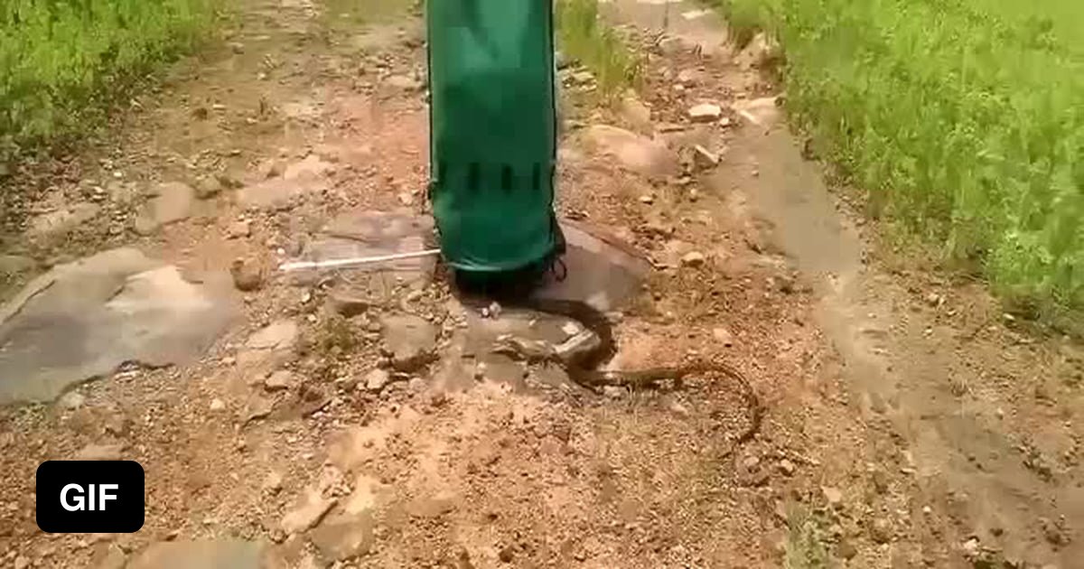 NOPE NOPE NOPE! - 9GAG