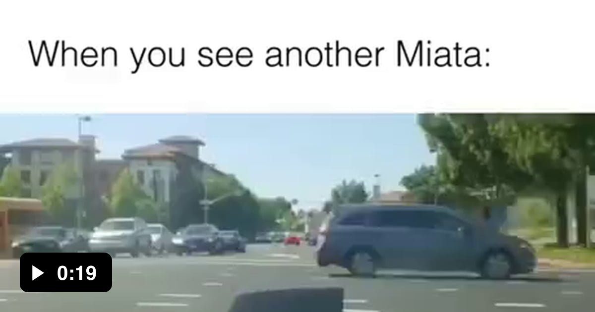 Wild Miata mating ritual in their natural habitat - 9GAG