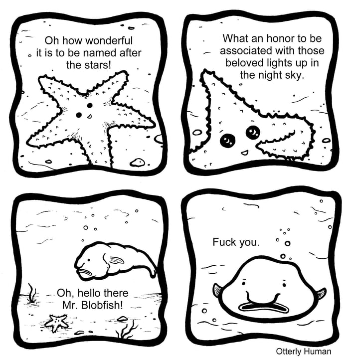 Starfish - 9GAG