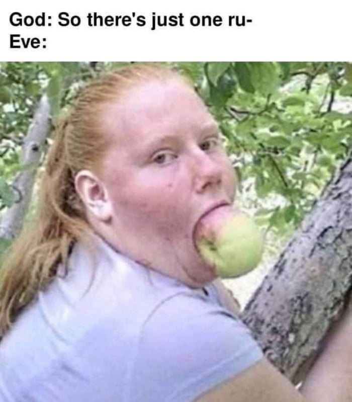 Dammit Eve - 9GAG