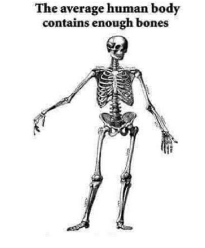 But the male body contains one extra bone. - 9GAG