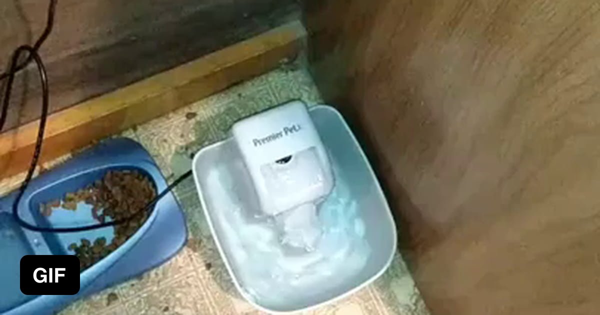Expensive electric water dish