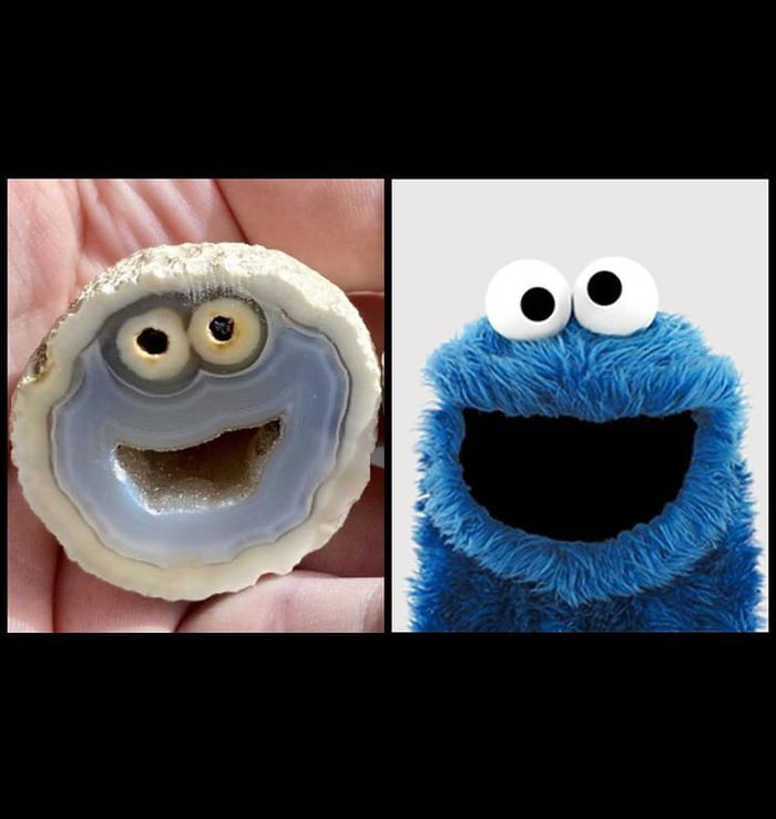 Rare lump of volcanic agate rock looks exactly like Sesame Street's ...