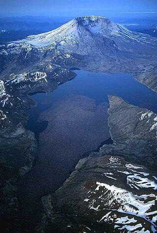 41 years after the Mt. St. Helen eruption, felled trees still clutter ...