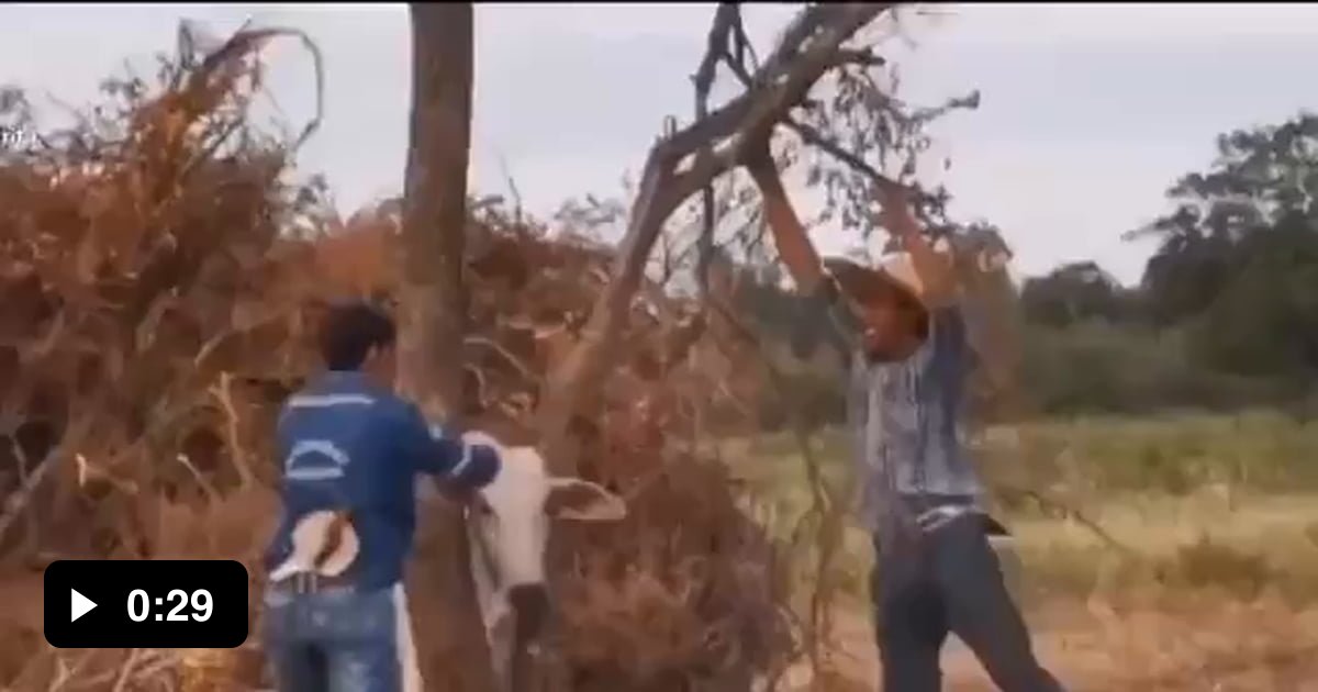 Serves you right for giving a shyte - 9GAG