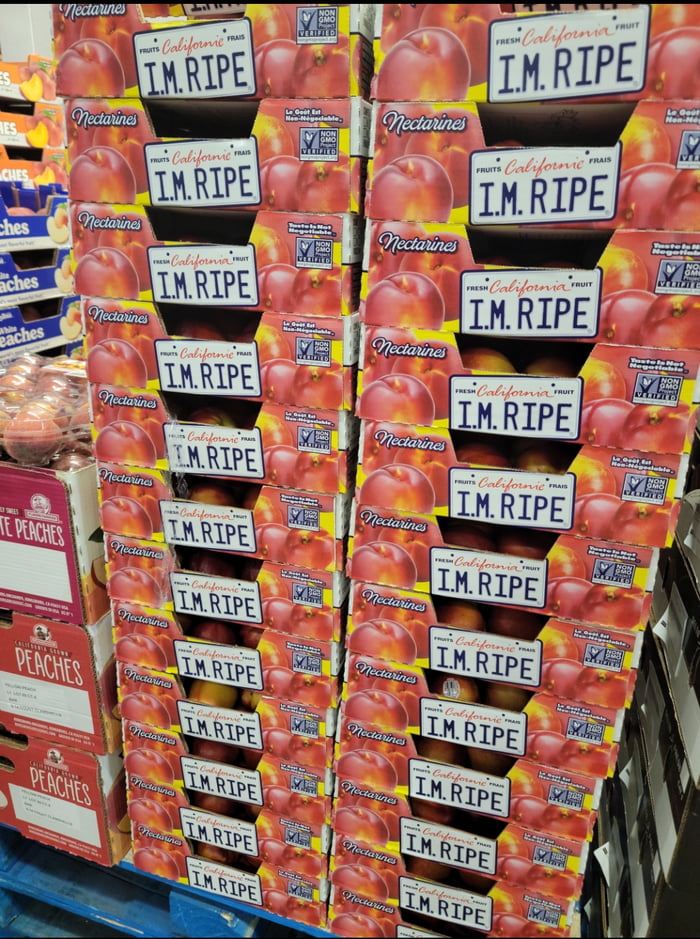 Weasel after changing his name to "Ripe": - 9GAG