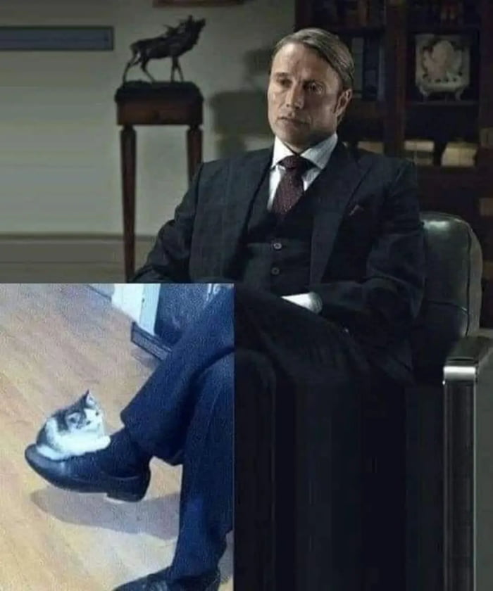 Distinguished gentleman know - 9GAG