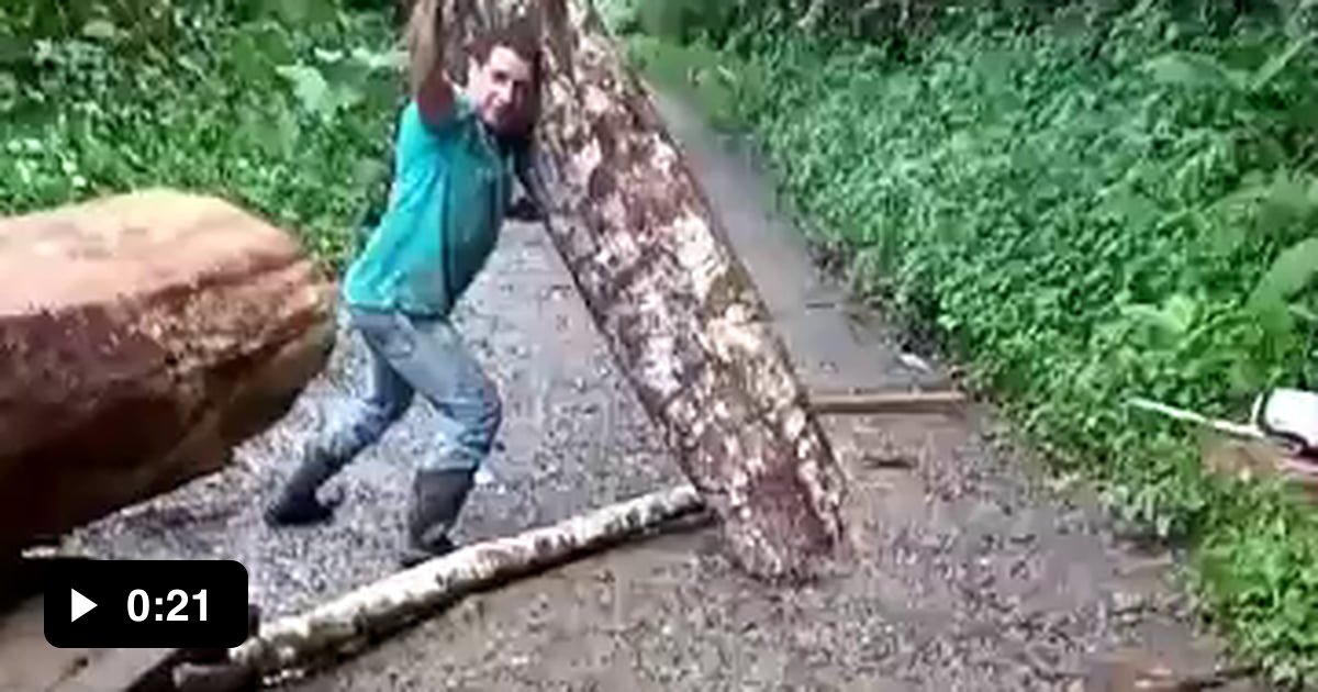 Sheer strength - 9GAG