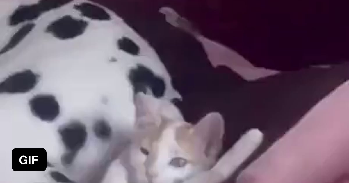 Happy friday!!! - 9GAG