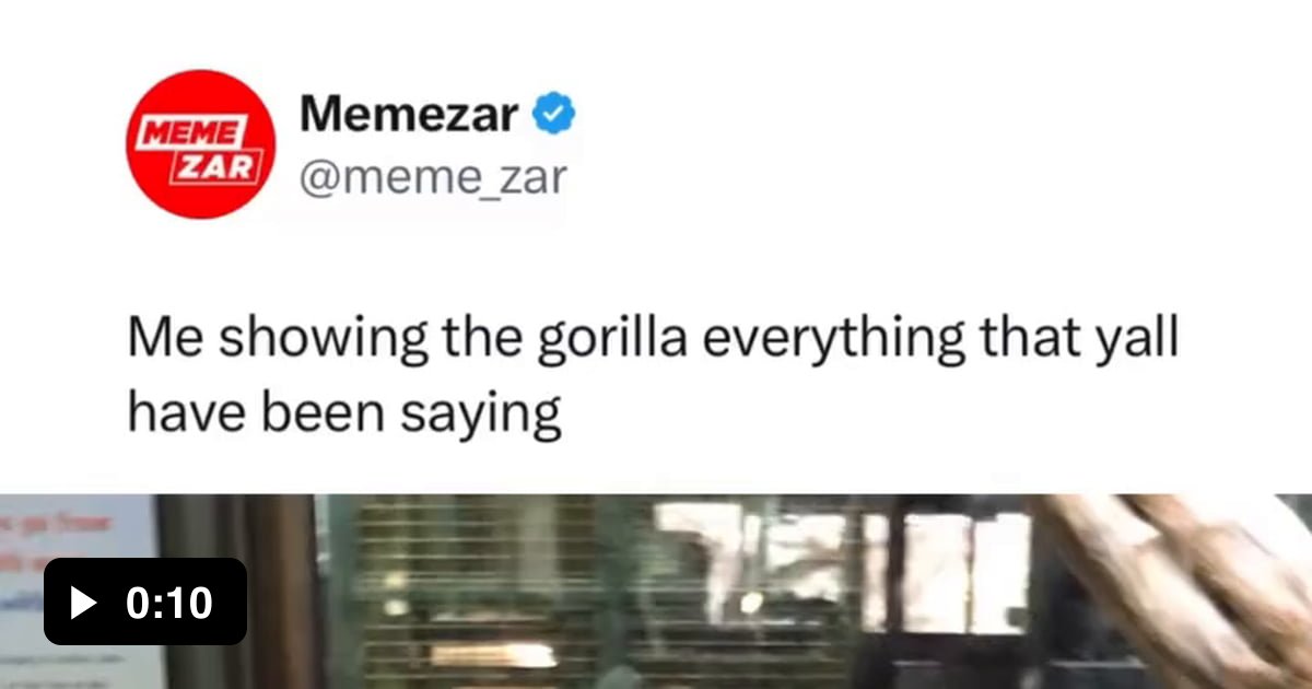 Just another day at the gorilla newsroom - 9GAG