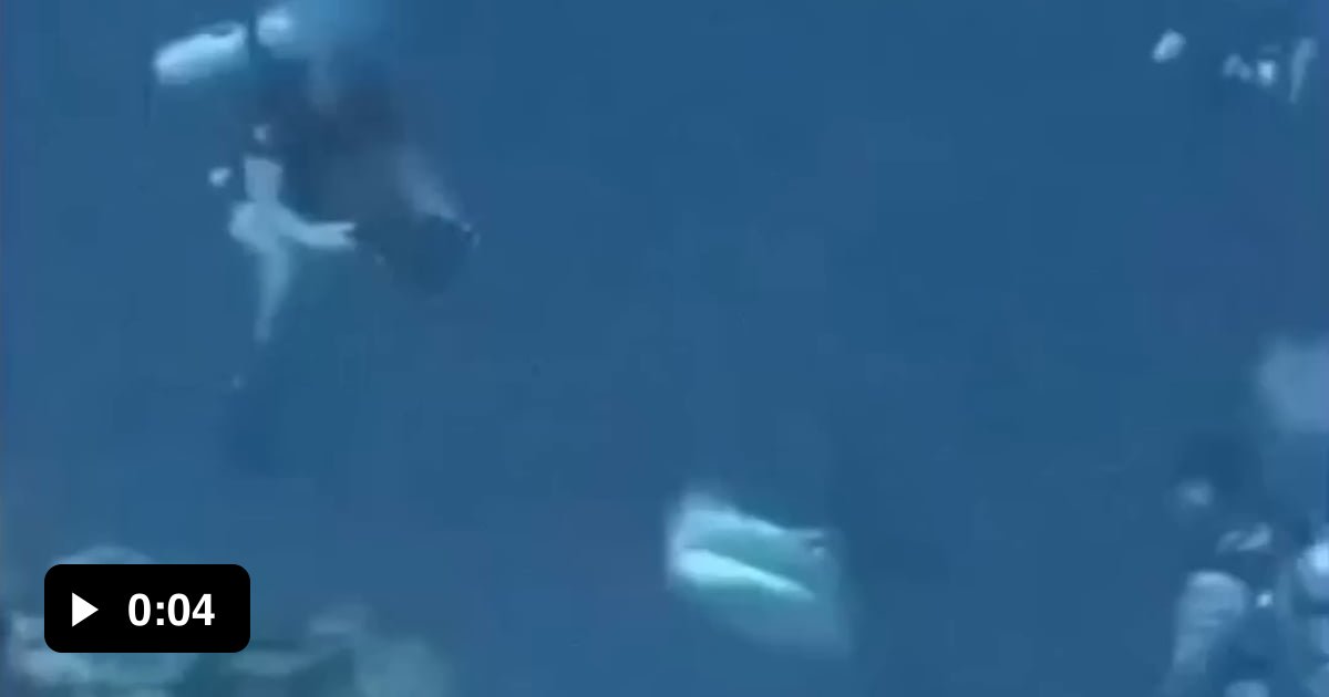 Its just a prank bro.. The prank: - 9GAG