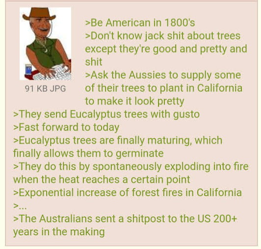 Just a funny reminder this happen. Eucalyptus tree seeds need to be ...