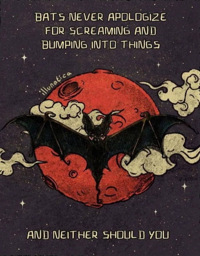 I like bats... - 9GAG