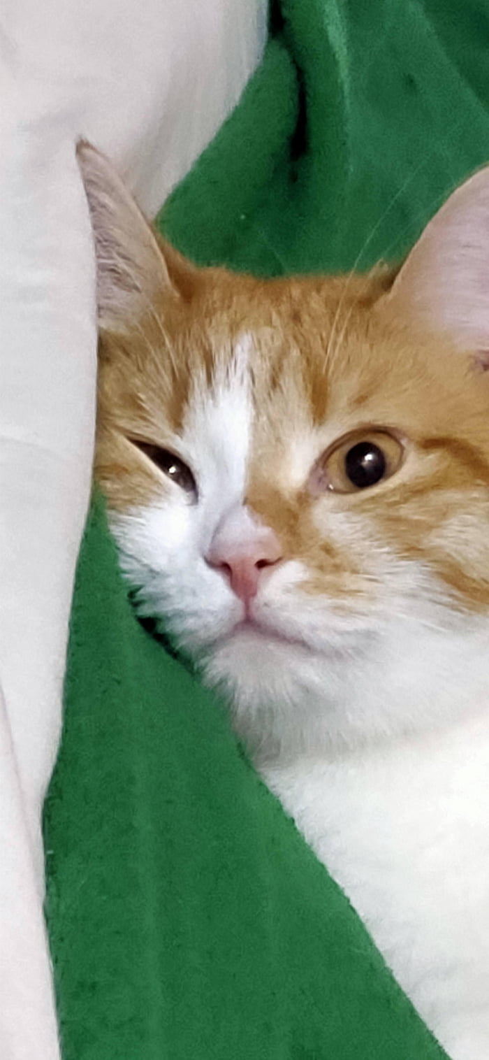 What are you staring at? 😁 Just keep scrolling - 9GAG