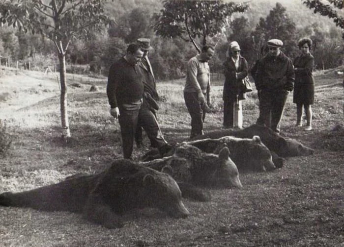 Romanian dictator Nicolae Ceaușescu and 4 bears he and other ...