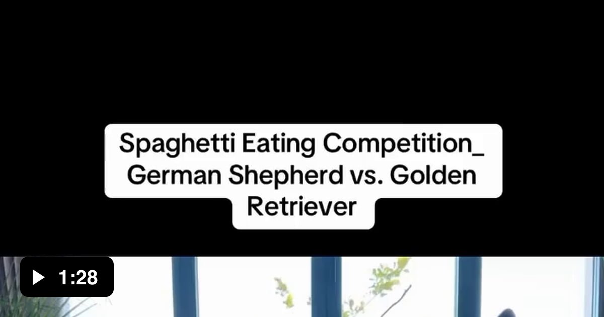 Spaghetti Eating Competition - 9GAG