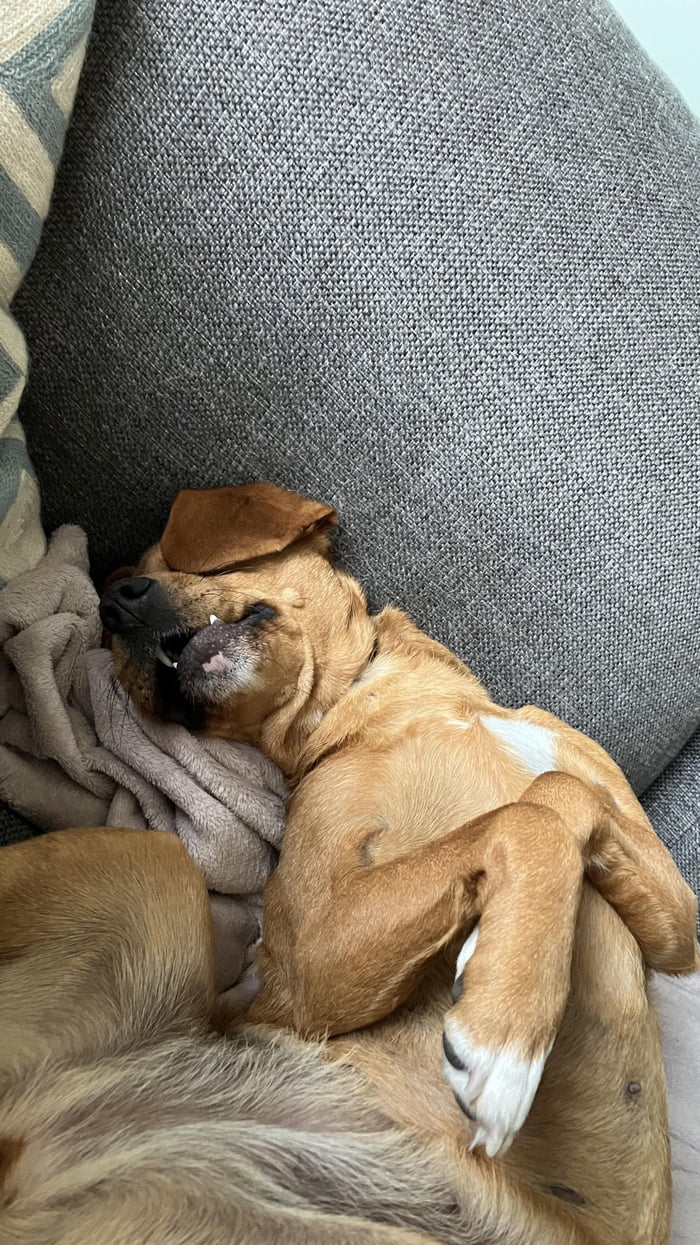 The best sleeping position? - 9GAG