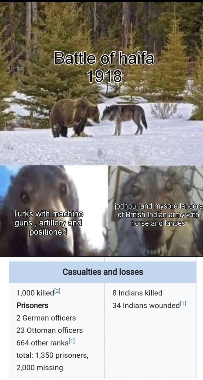 Long pointy stick > Guns - 9GAG