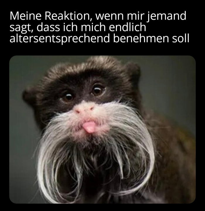 Der is ja wohl voll die doofe Pupsnase! - 9GAG