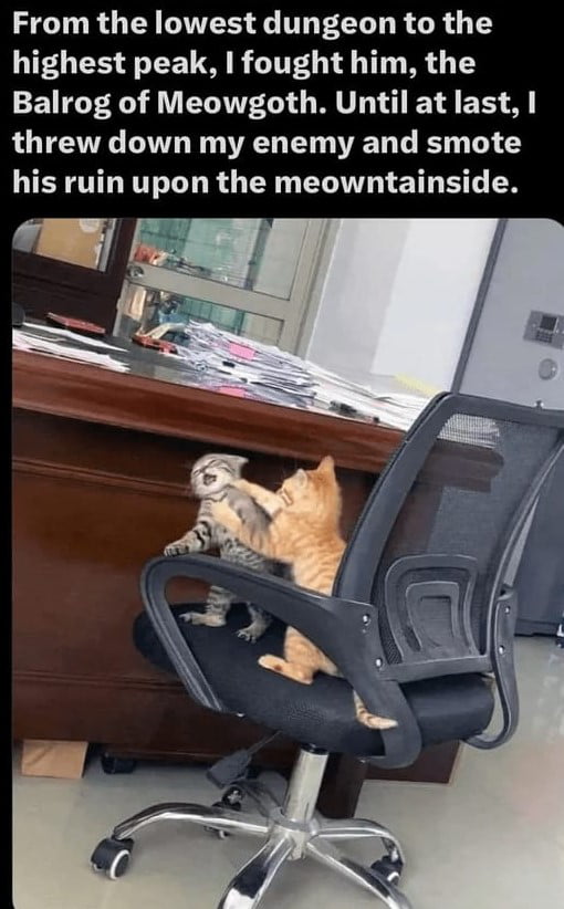 Legendary battle at the peak - 9GAG