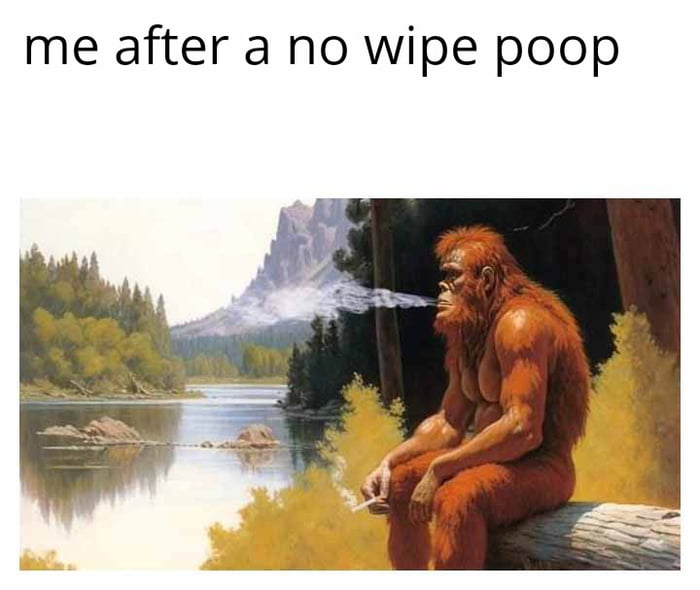 One doesn't simply poop without wiping - 9GAG