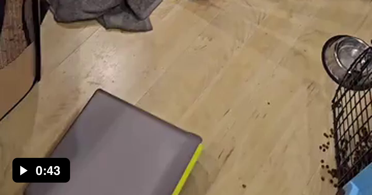 When you escape your cell just to be mayhem - 9GAG