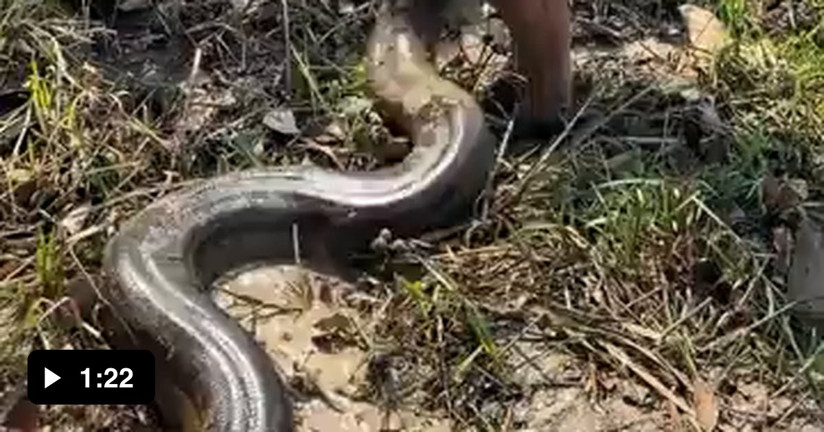 Fishing Garrett is amazing - 9GAG