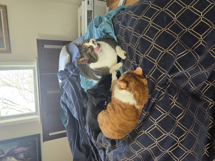 Just chillin. - 9GAG