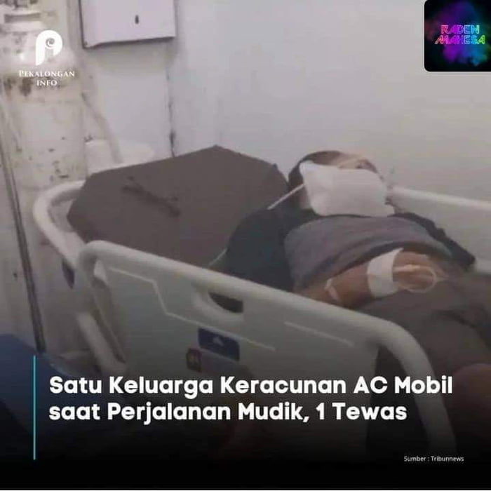 Bahaya laten stella jeruk - 9GAG