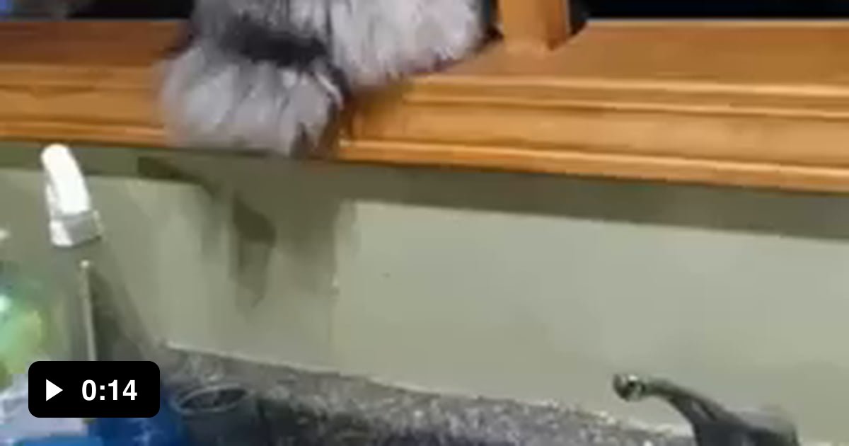 Private dancer - 9GAG