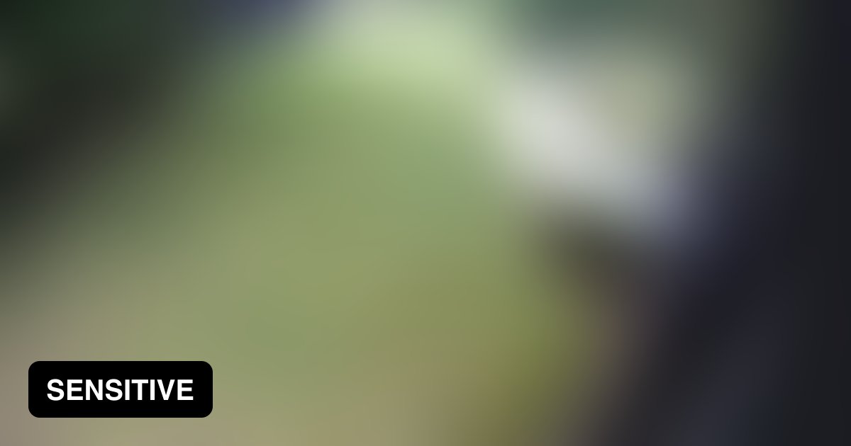 Everything Changed When the Firefox Struck... - 9GAG