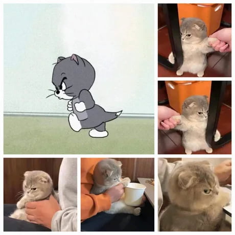 When you‘re a little angry - 9GAG