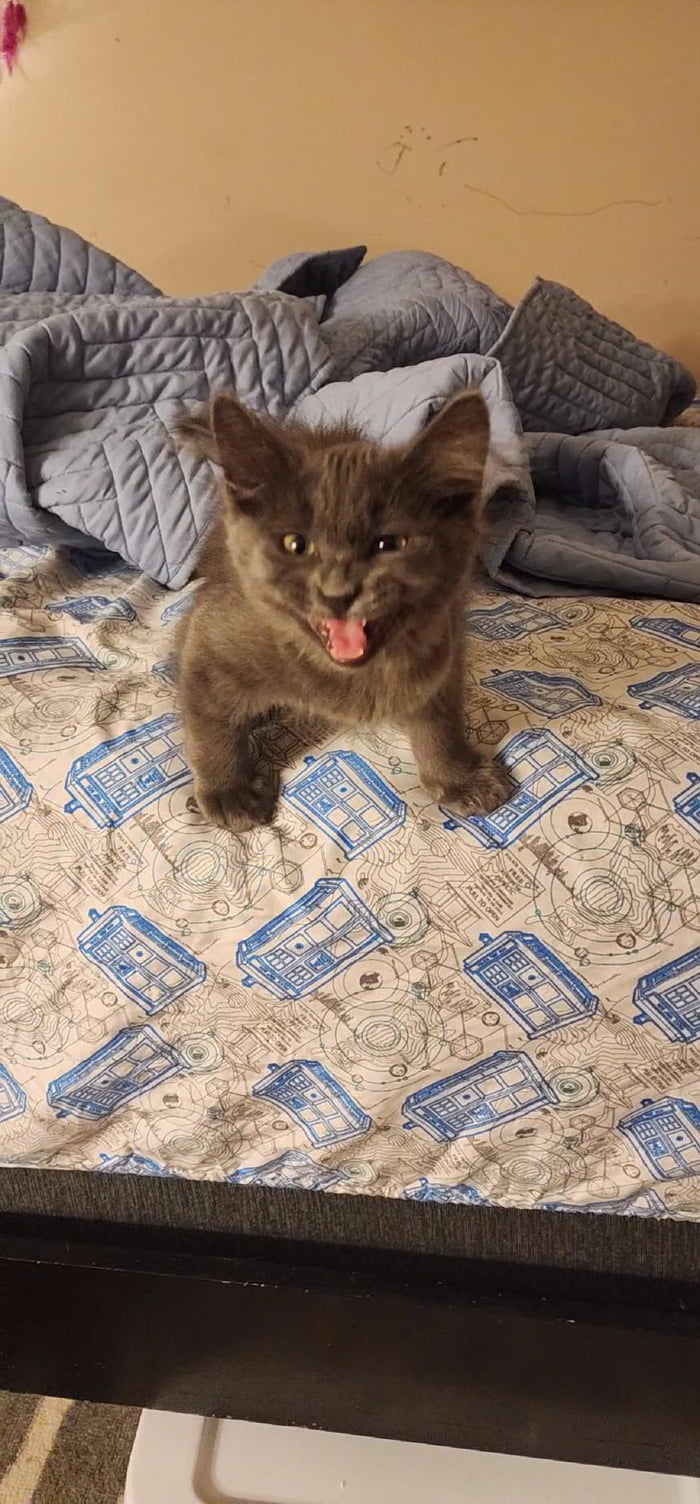 Sir Mortimer, Duke of Sto Helit has some attitude - 9GAG