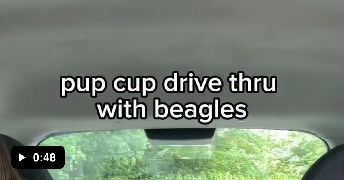 Pup Cup Chaos - 9GAG