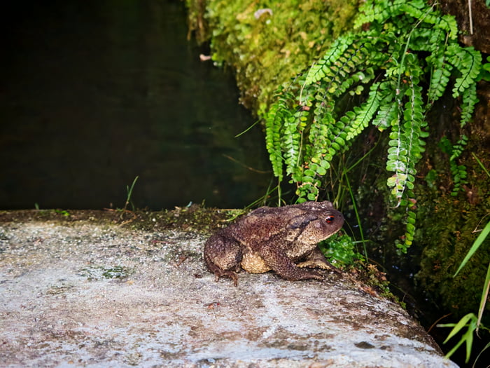 Guess what day it is? Terry is absent today - 9GAG