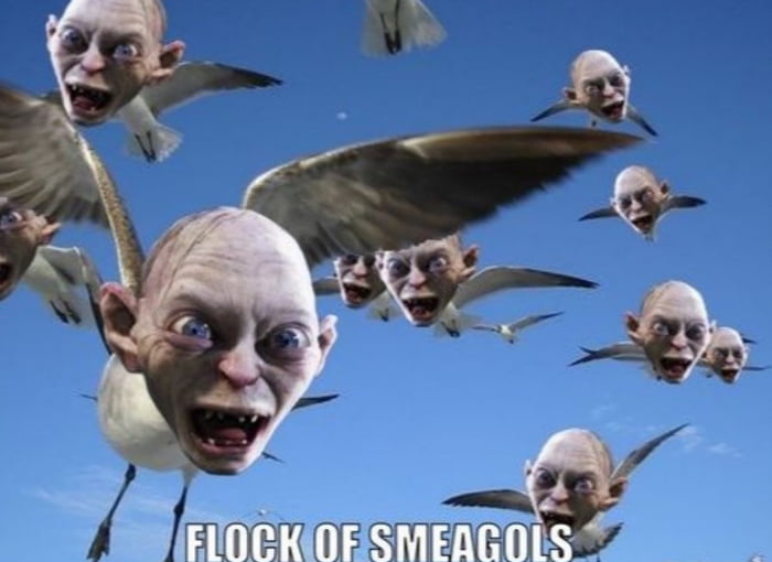 Lord of the smeagols - 9GAG