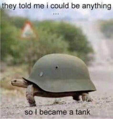 Dream big, even if you're a turtle. - 9GAG