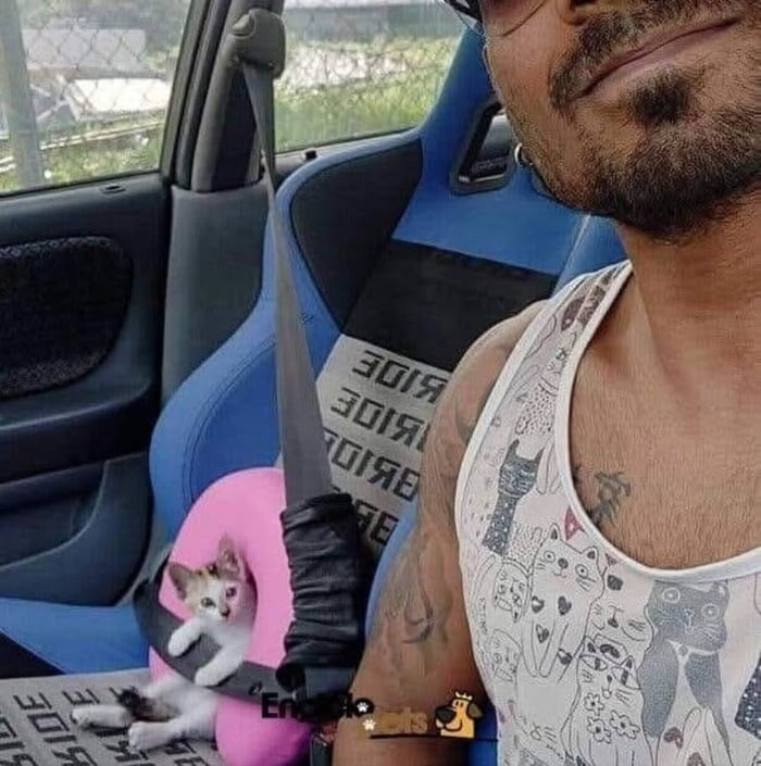 Safety first for my co-driver - 9GAG