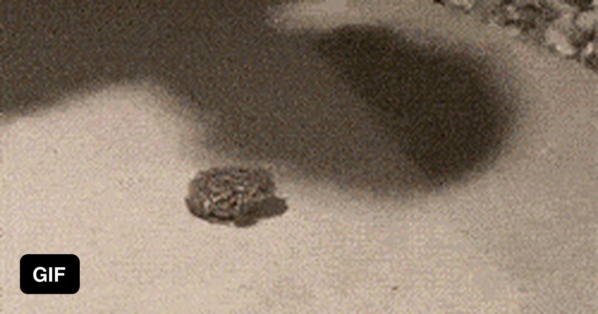 Borderline frog - 9GAG