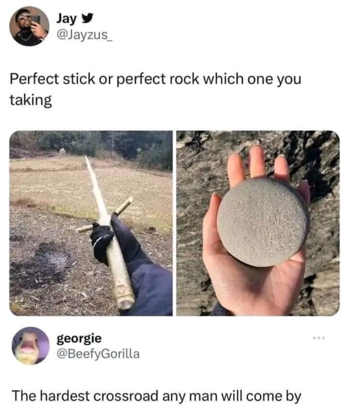 Easy. The stone. No wait. The stick! No wait... - 9GAG