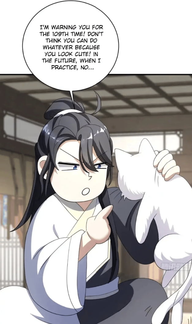 Average cat owner - 9GAG