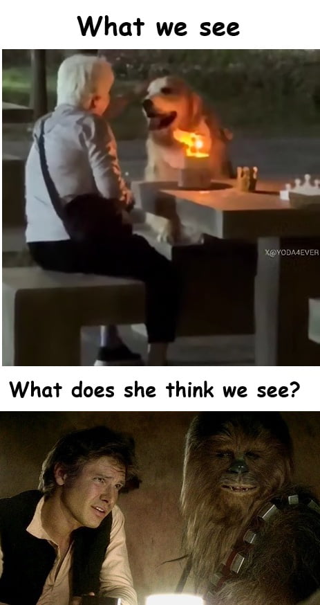 489th sh*t post by the same old sh*t lady - 9GAG