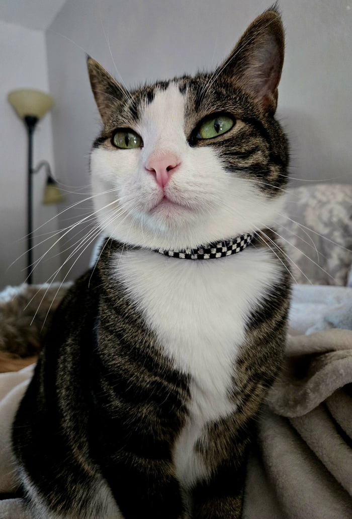 Maximus (Max Headroom) deciding if he wants to acquire world domination ...