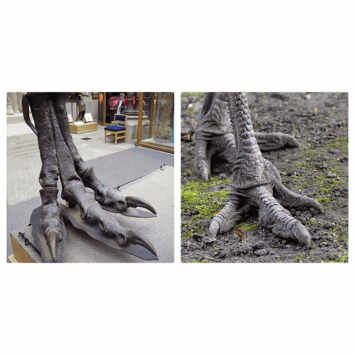Dinosaur feet vs modern bird feet, basically the same - 9GAG