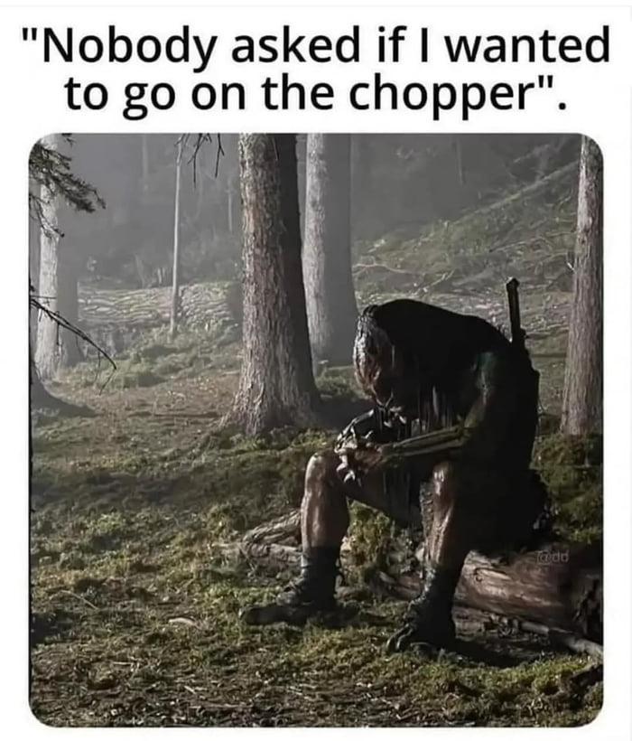 Poor little thing - 9GAG