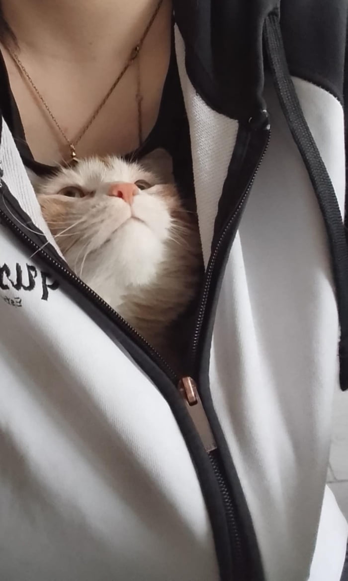 Show me your kitties - 9GAG