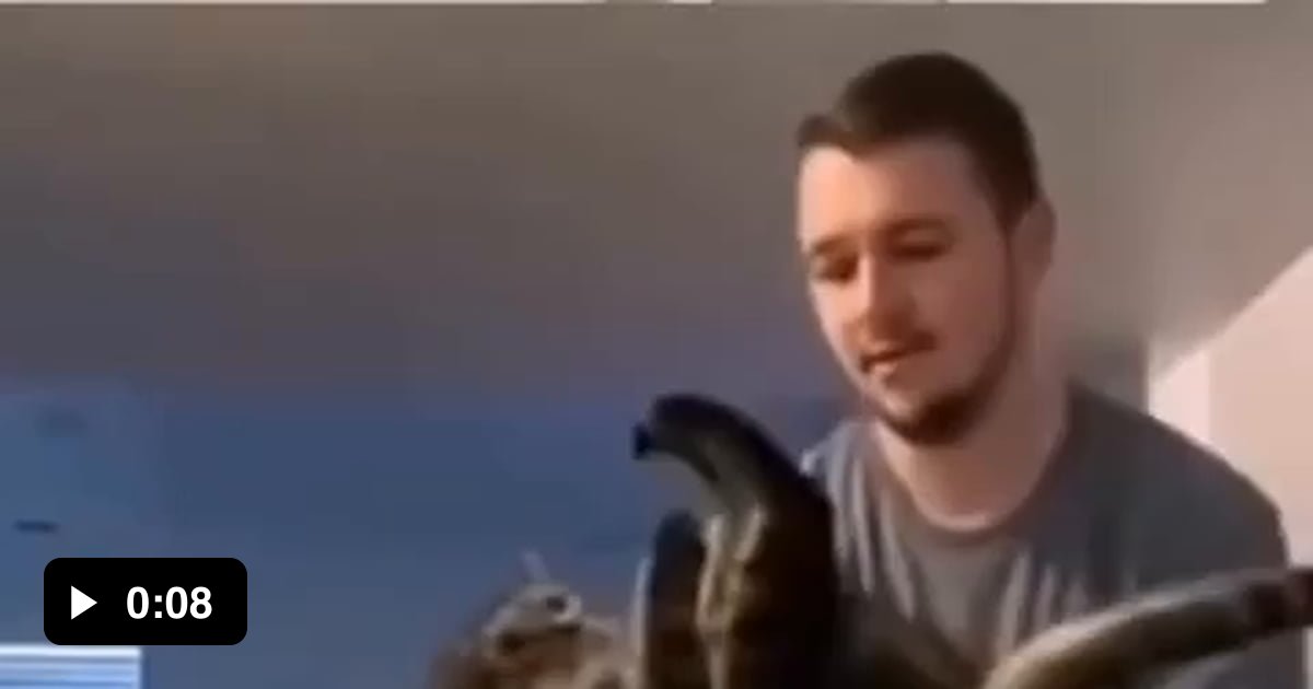 Checking a cat for intelligence - 9GAG