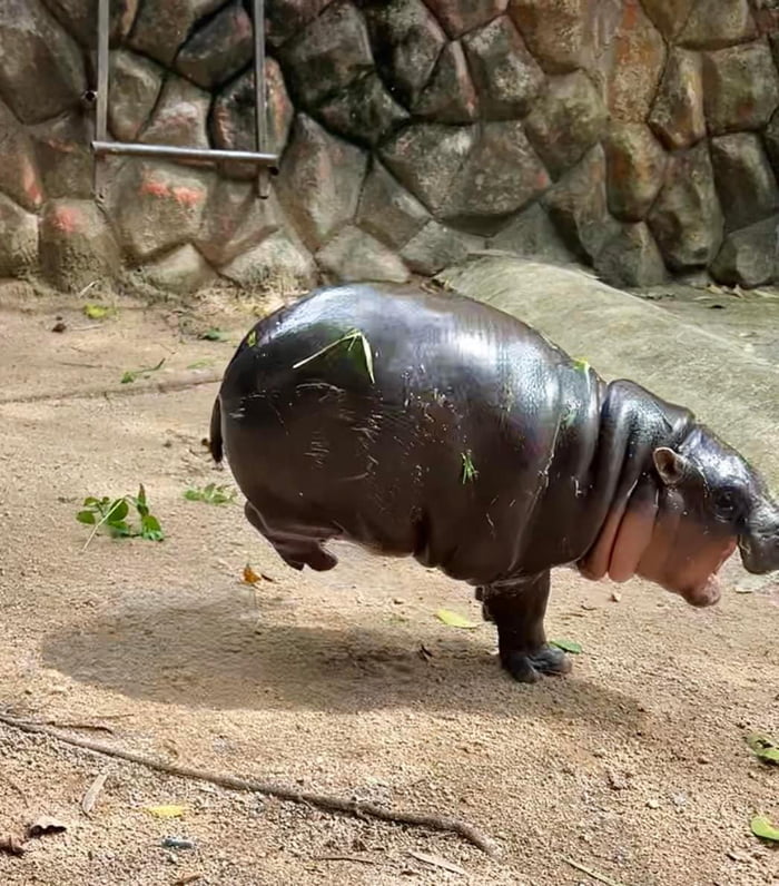 You can hear the tires squeak. - 9GAG